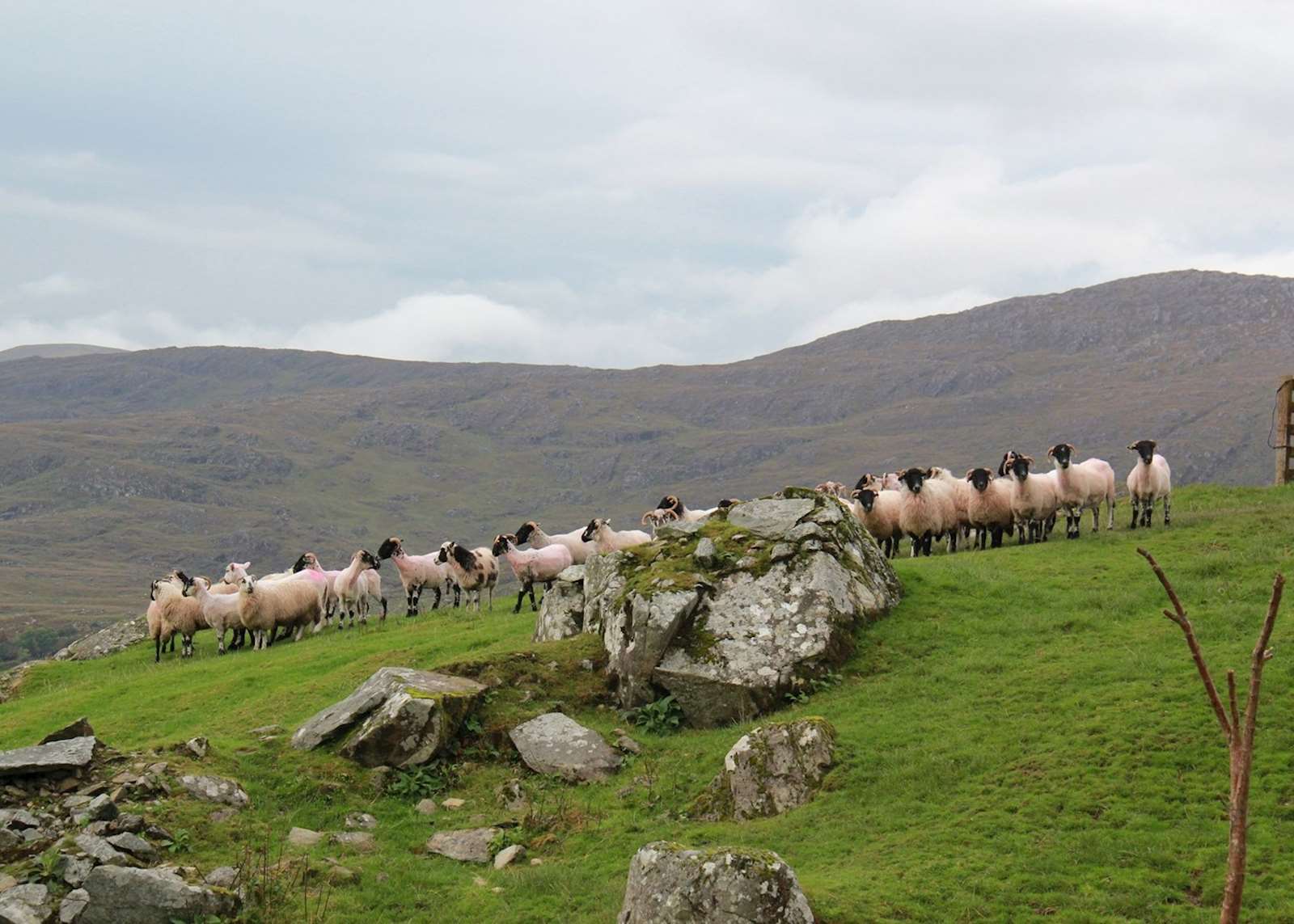 Scotland 10 day itinerary | Audley Travel US