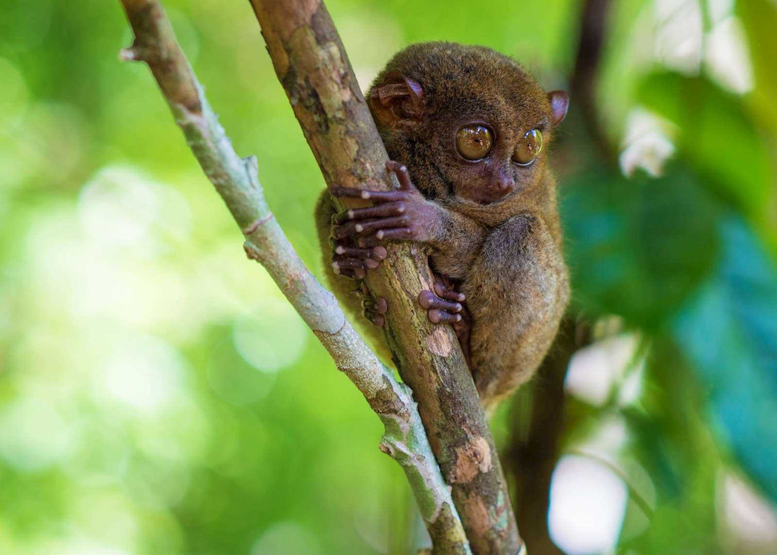 Highlights of the Philippines | Audley Travel UK