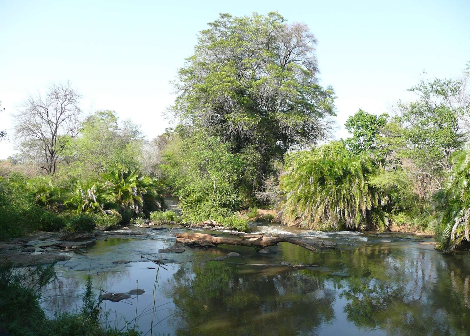 Ultimate Kenya safari: Amboseli, Meru & Masai Mara | Audley Travel UK