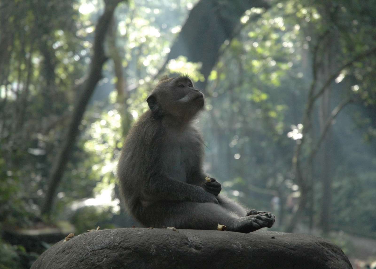 Discovering Java & Bali | Audley Travel US