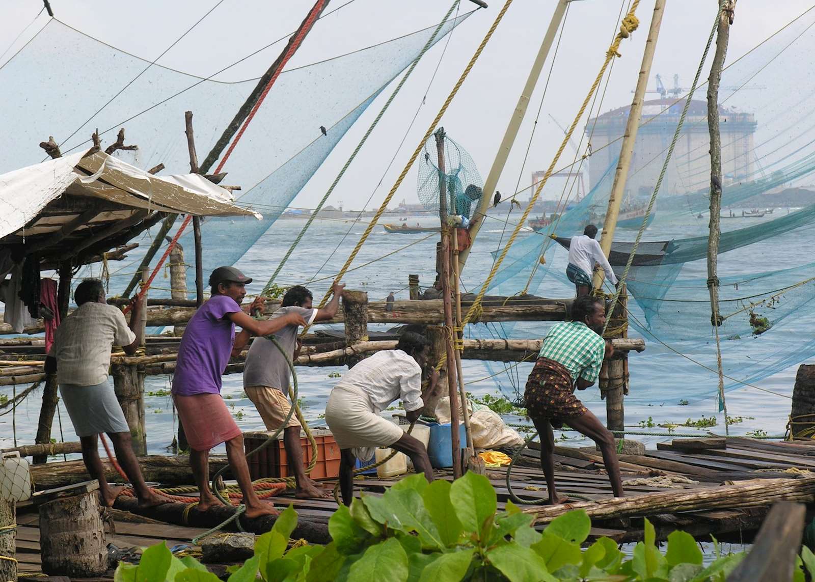 Classic Kerala tour: culture, tea, wildlife & backwaters | Audley Travel UK