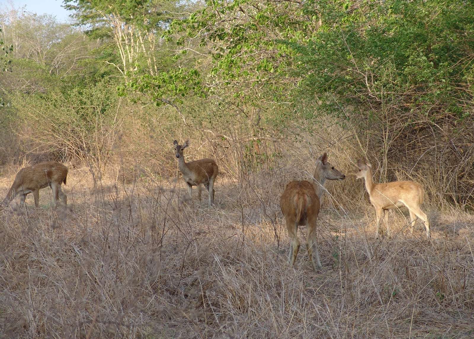 Discovering Java & Bali | Audley Travel US