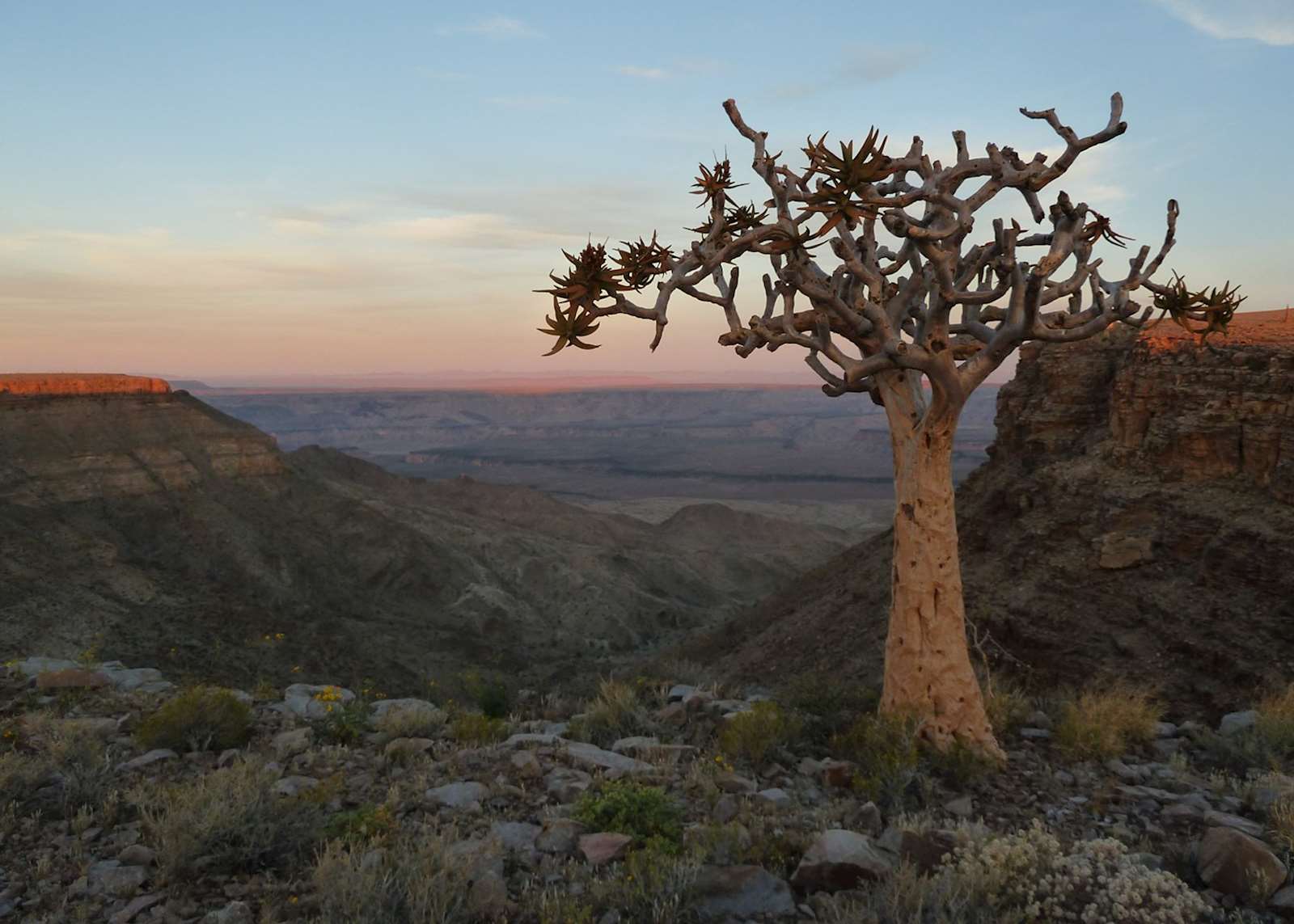 Southern Namibia Self-Driving Tour | Audley Travel US