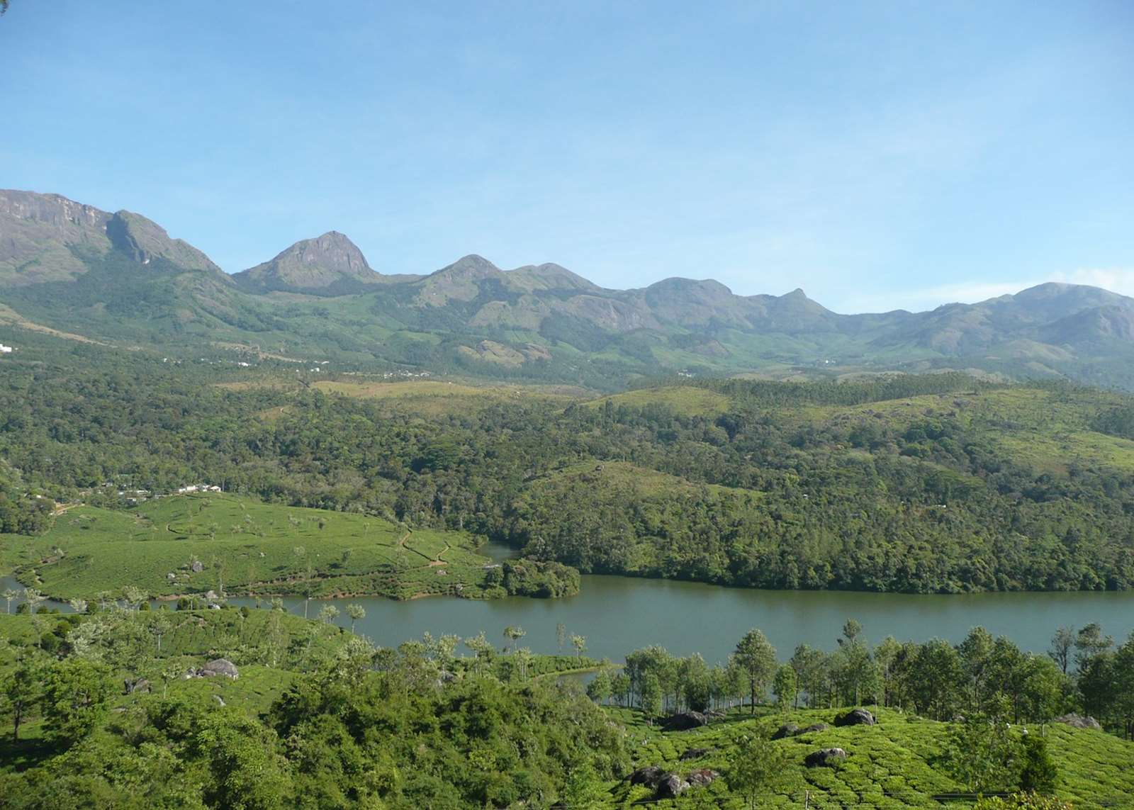 Classic Kerala tour: culture, tea, wildlife & backwaters | Audley Travel UK