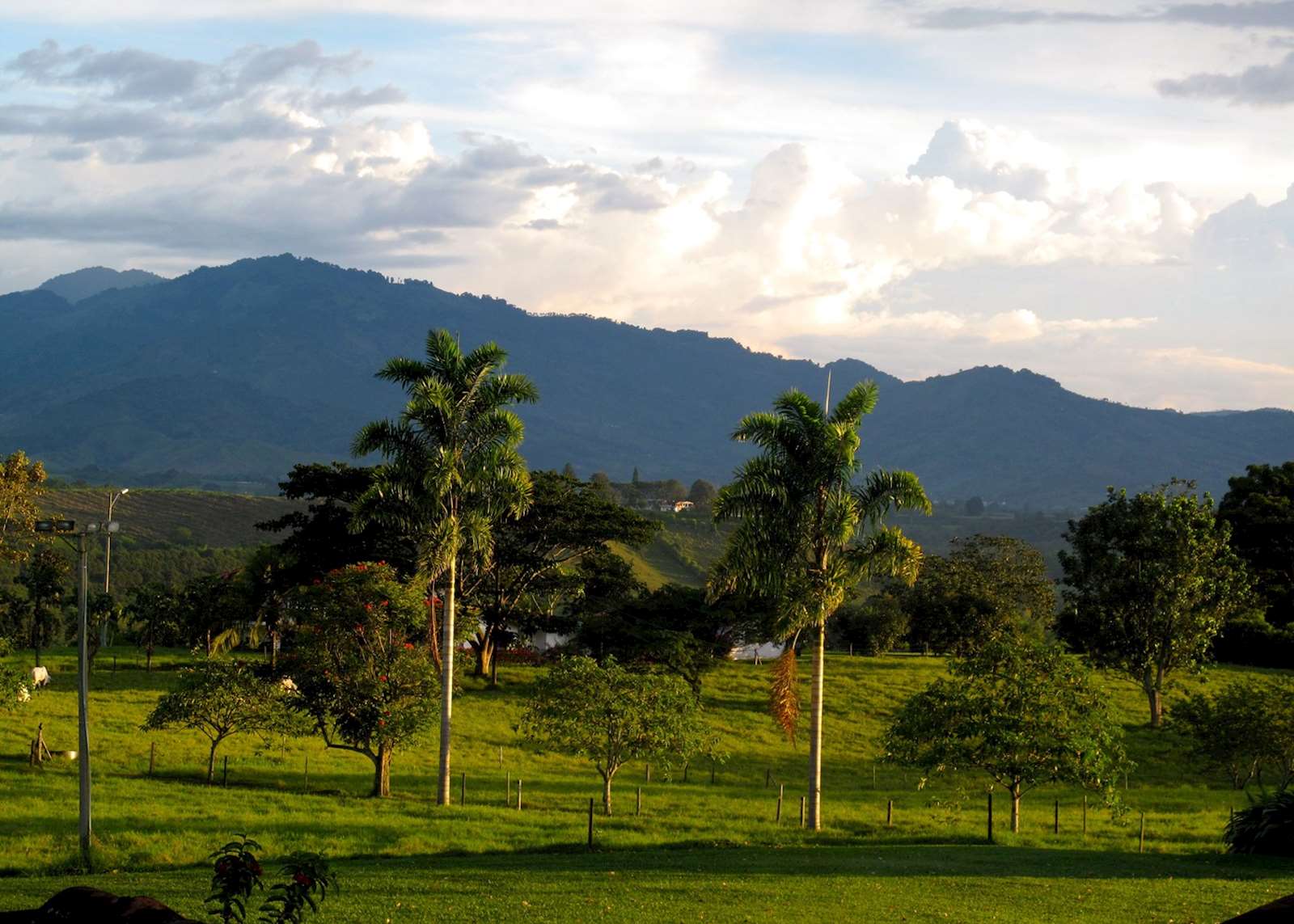 Birdwatching in Colombia | Audley Travel UK