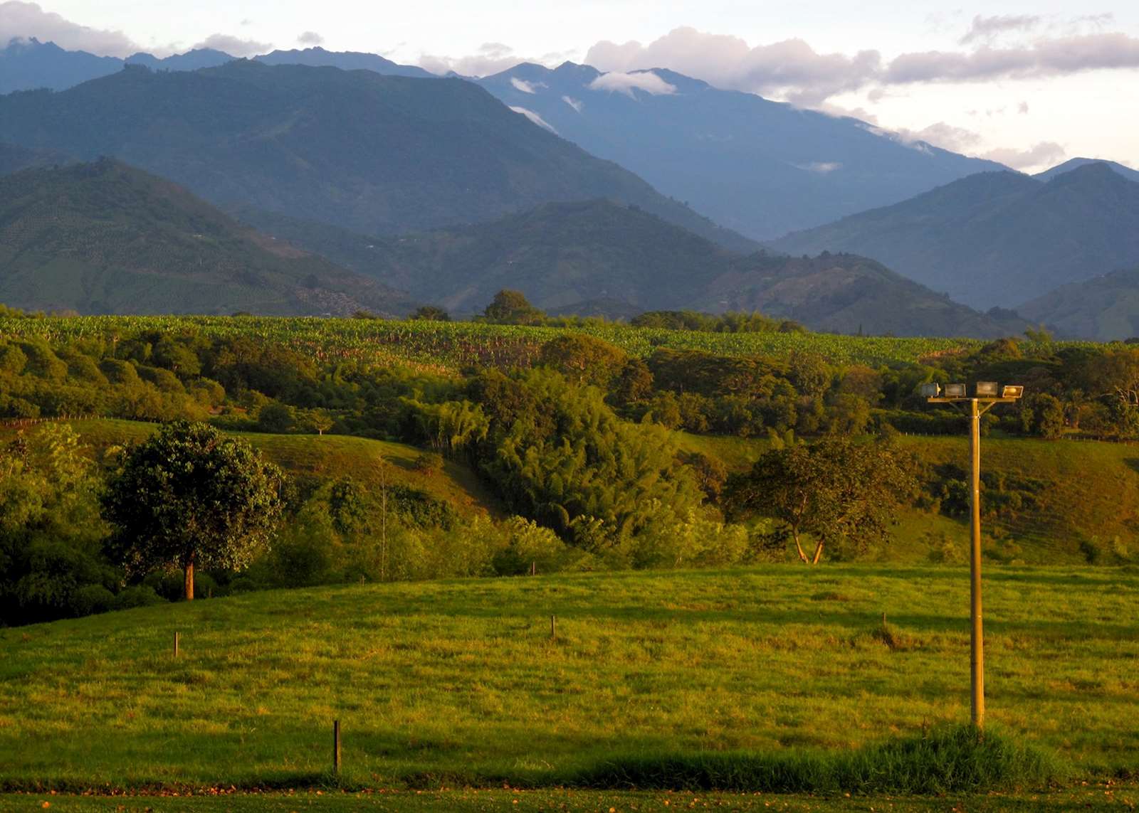 Birdwatching in Colombia | Audley Travel US