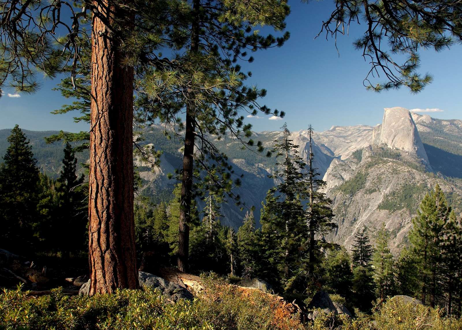 Yosemite National Park and the City by the Bay | Audley Travel US