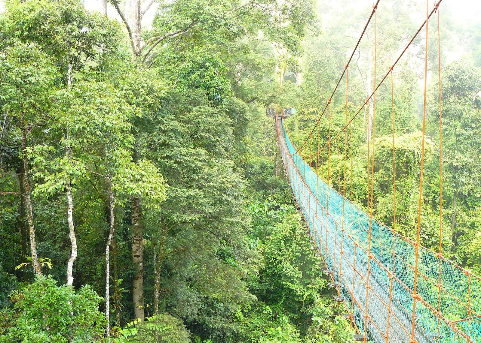 Grand tour of Borneo | Audley Travel US
