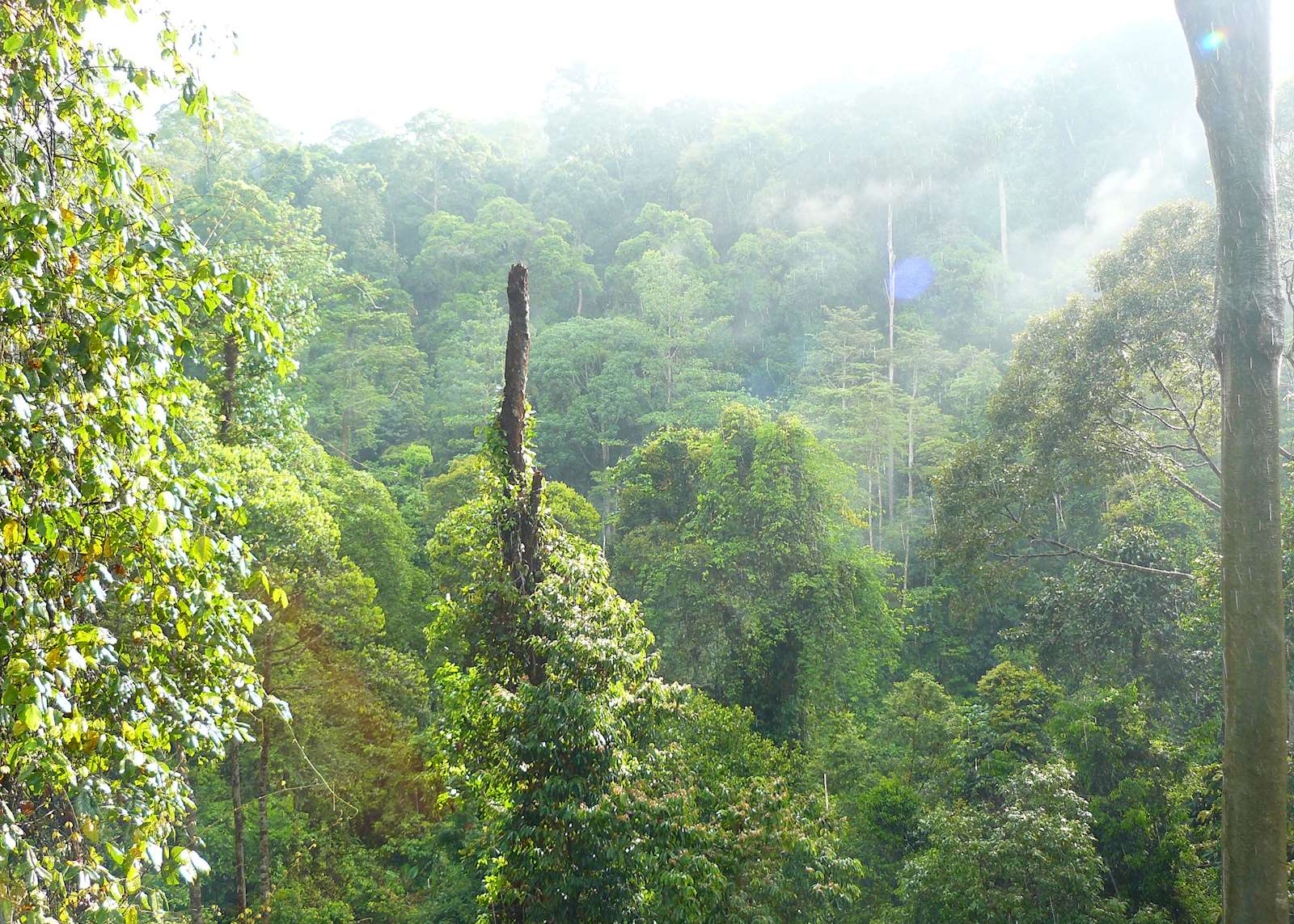 Snapshot of Sabah Tour | Audley Travel US