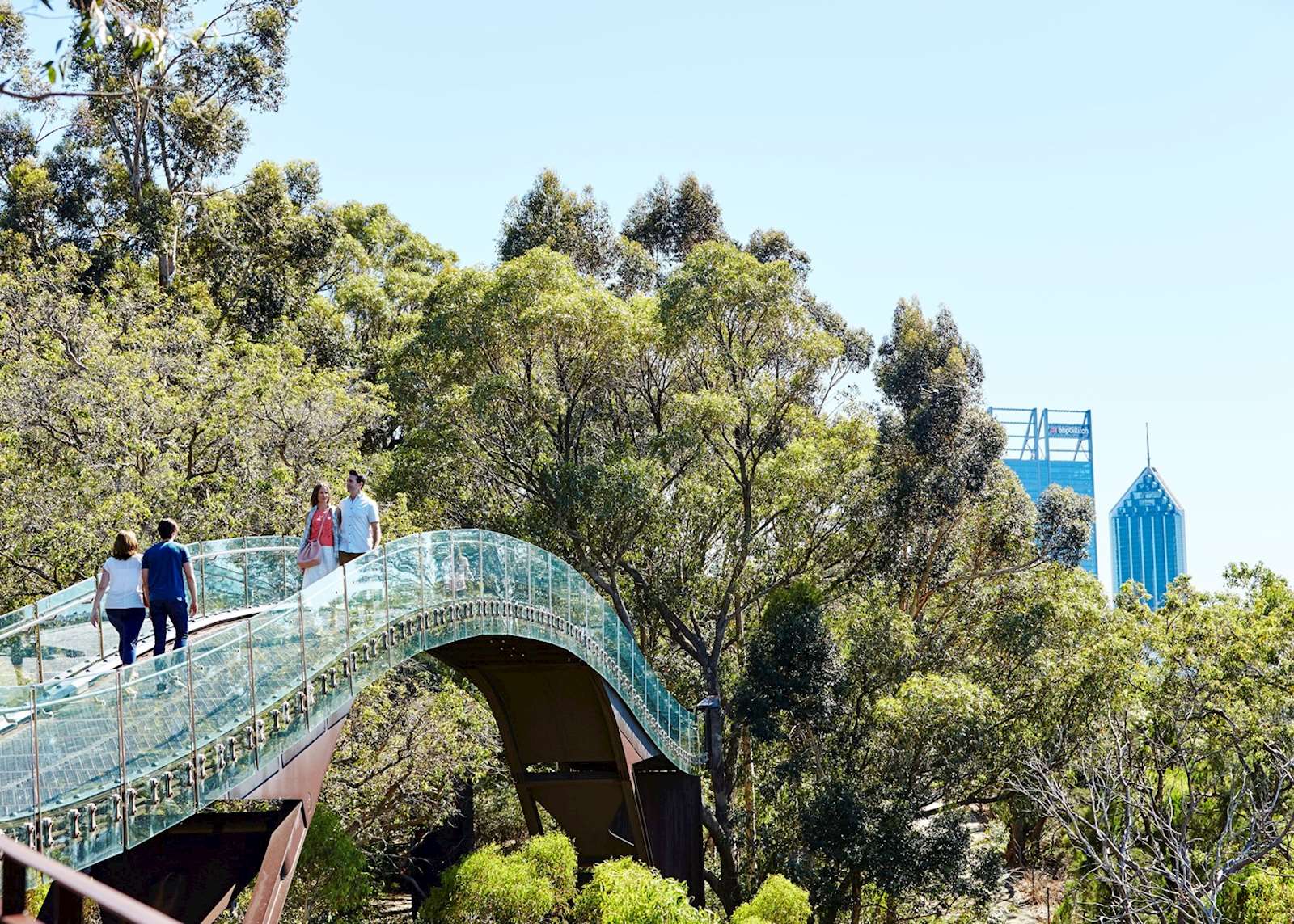 Western Australia's ultimate wildlife journey | Audley Travel US