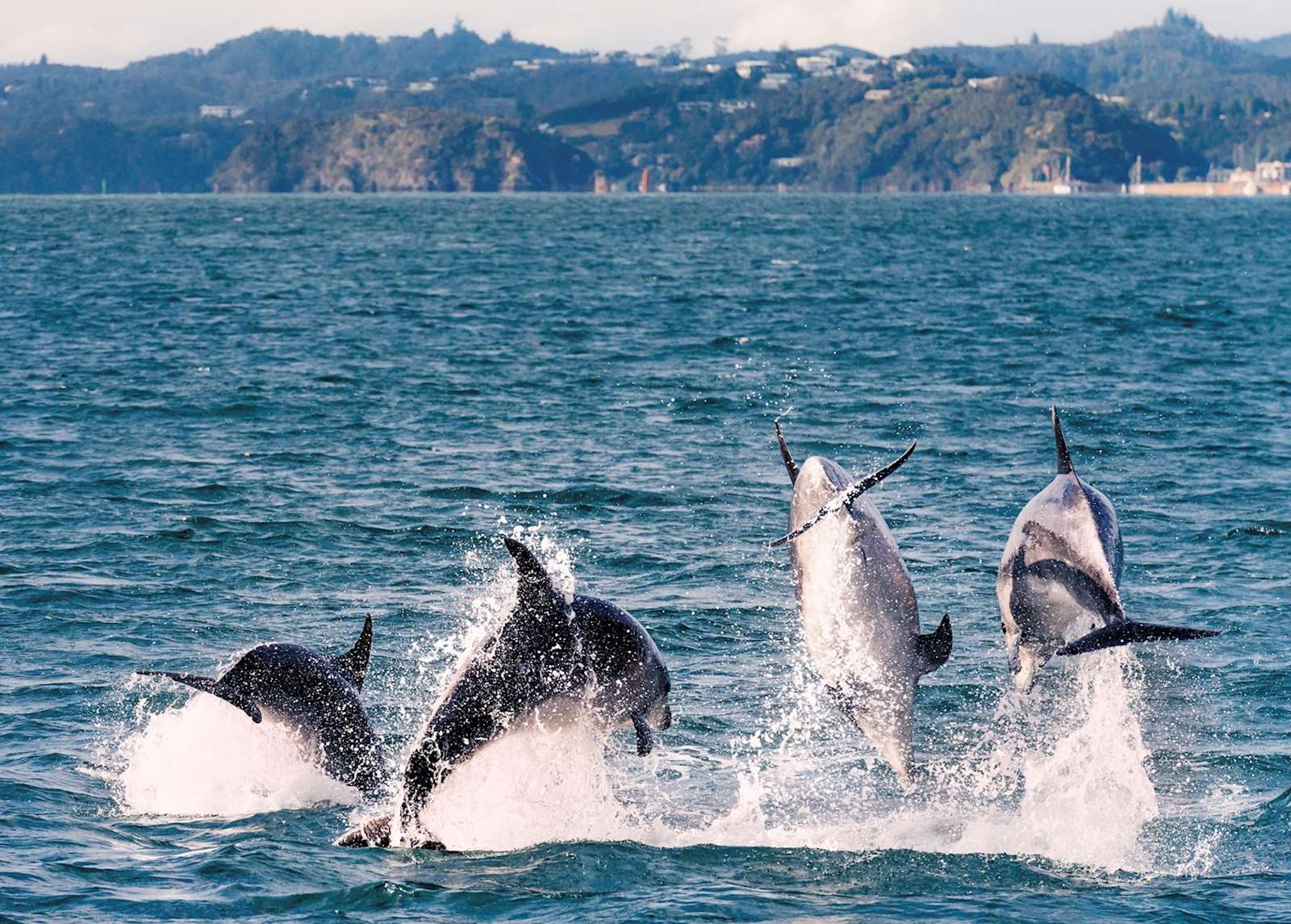 Cultural New Zealand self-drive tour | Audley Travel UK