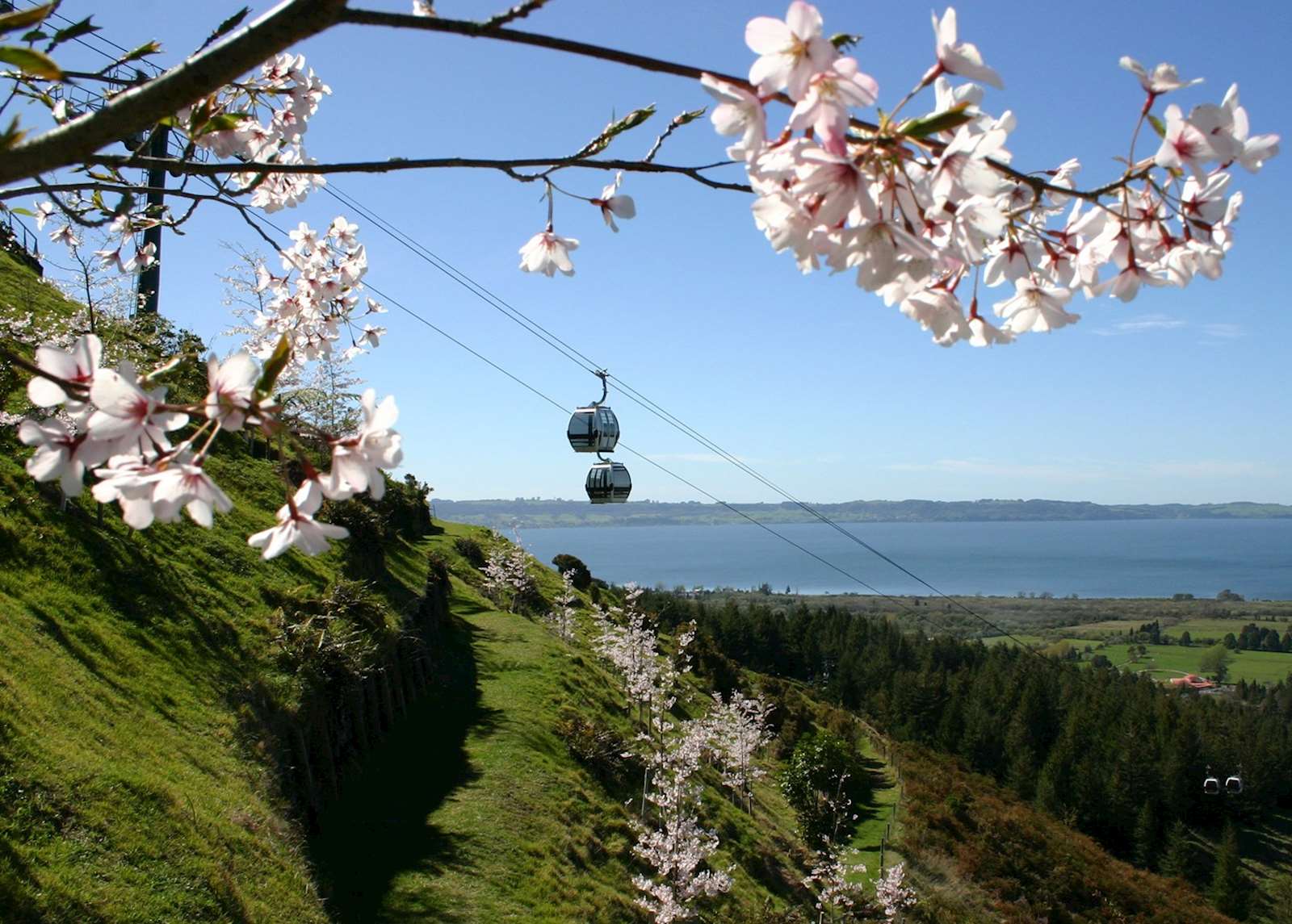 Highlights of New Zealand self-drive tour | Audley Travel UK