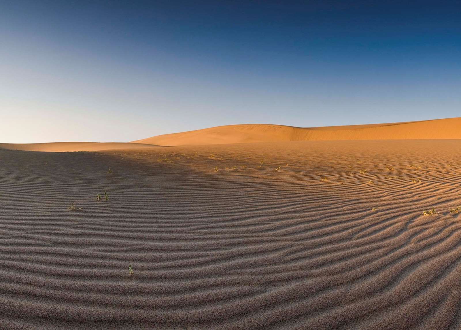 Remote Namibia honeymoon safari | Audley Travel CA