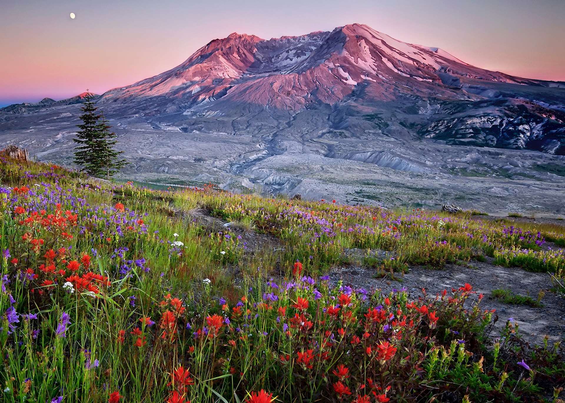 Visit Mount St. Helens on a trip to USA | Audley Travel US