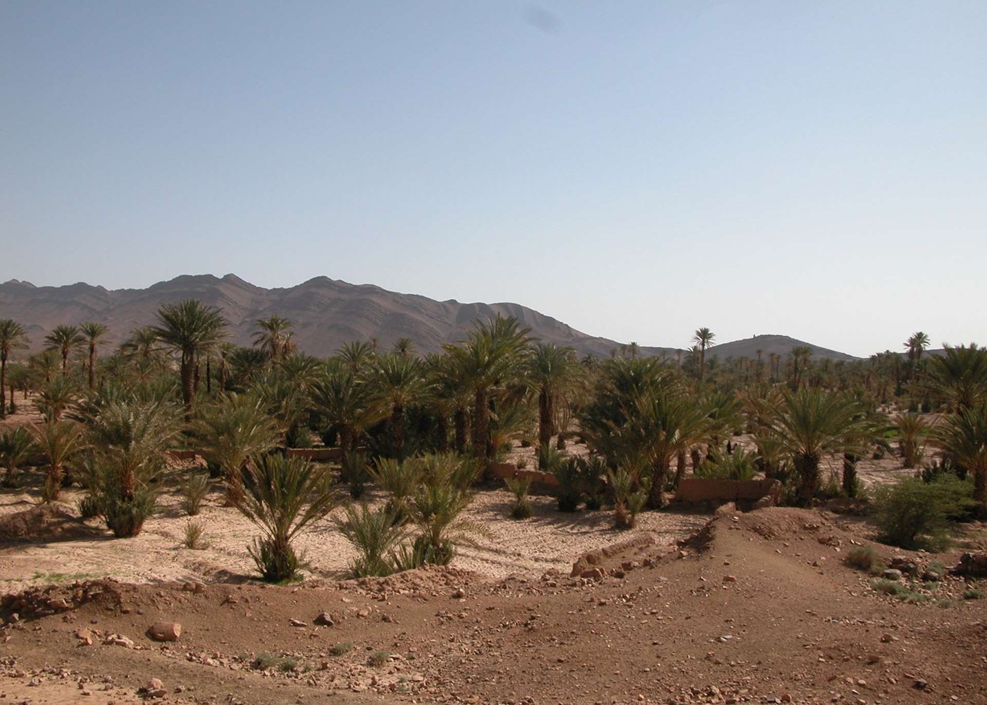 Visit the Anti Atlas, Morocco | Tailor-made Vacations | Audley Travel US