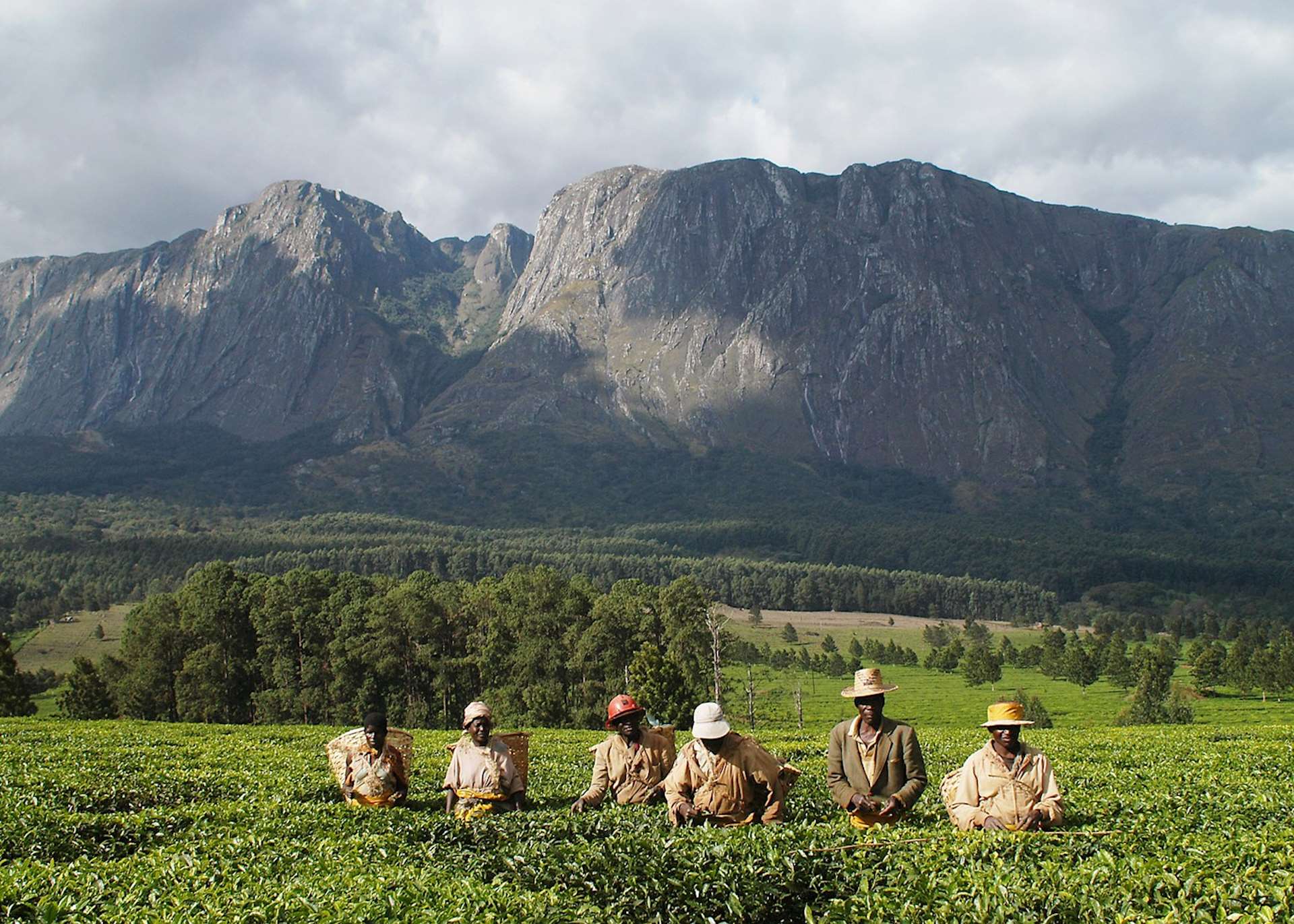 Visit Thyolo Region, Malawi | Tailor-made Trips | Audley Travel UK