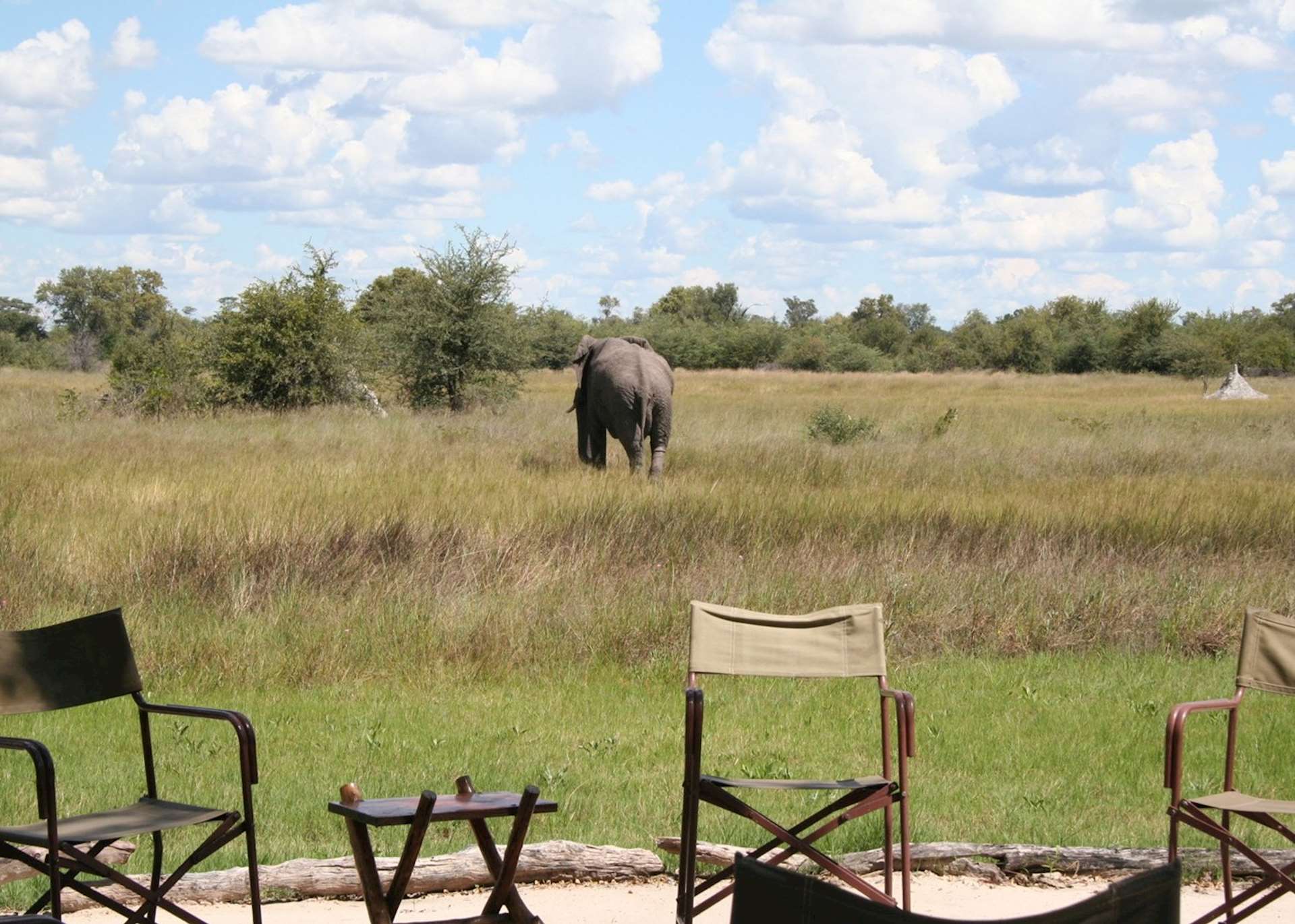 Visit Ghanzi, Botswana | Tailor-Made Trips | Audley Travel UK