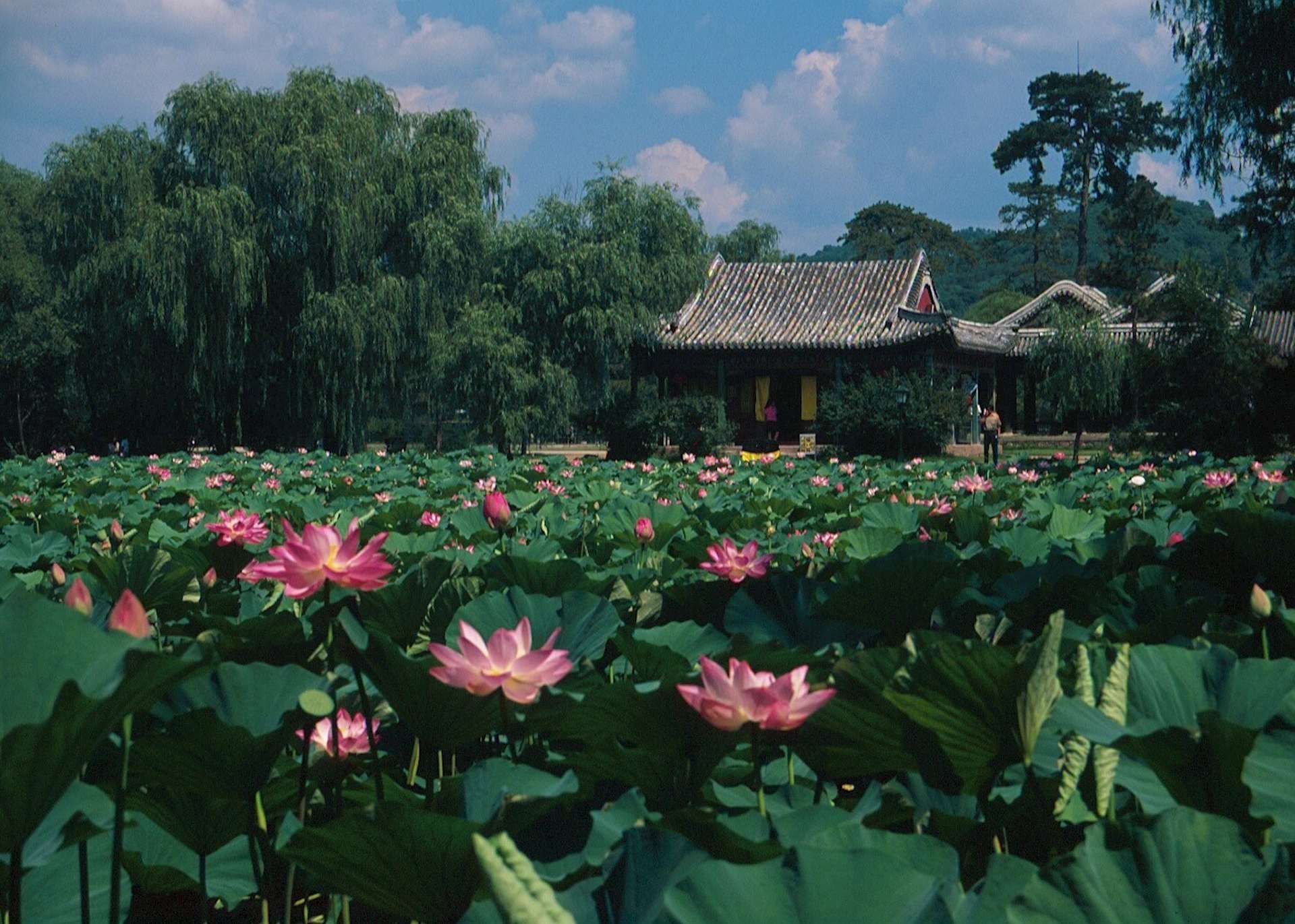 Visit Chengde on a trip to China | Audley Travel US