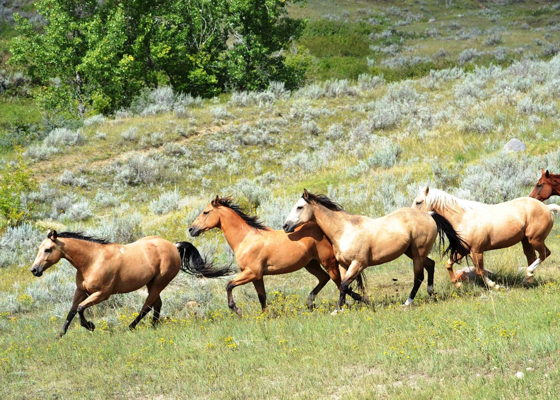 Visit Kyle on a trip to Canada | Audley Travel US