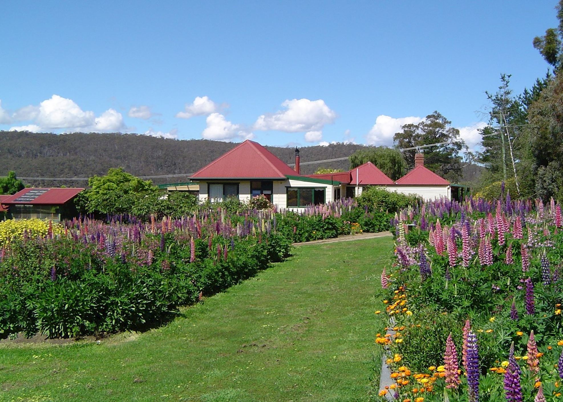 Visit Mount Field National Park, Australia | Audley Travel UK