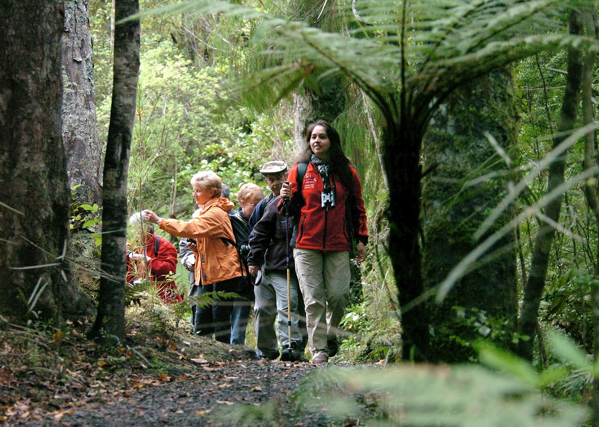 Walking and trekking in New Zealand | Audley Travel US