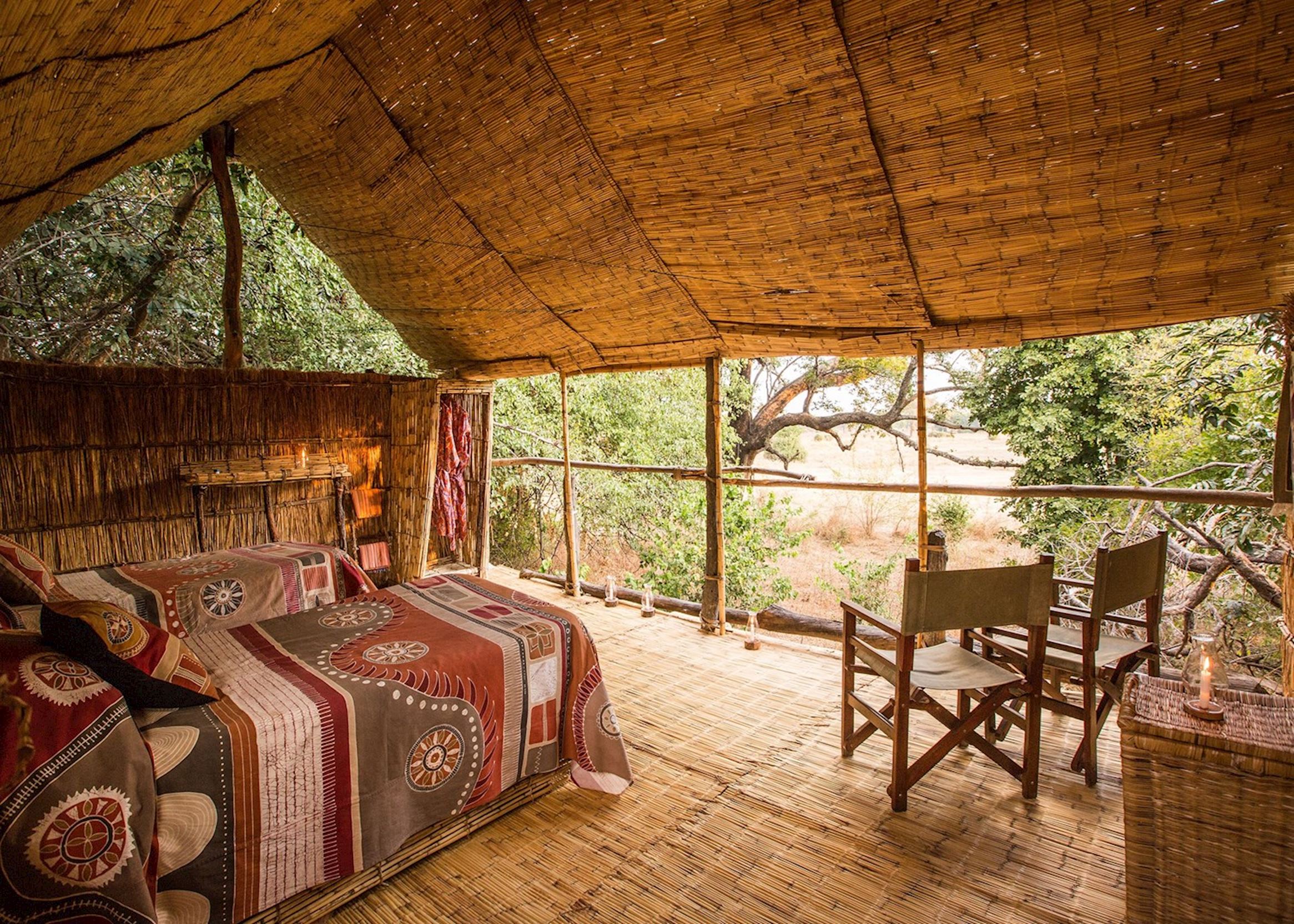 Chikoko | South Luangwa National Park | Audley Travel UK