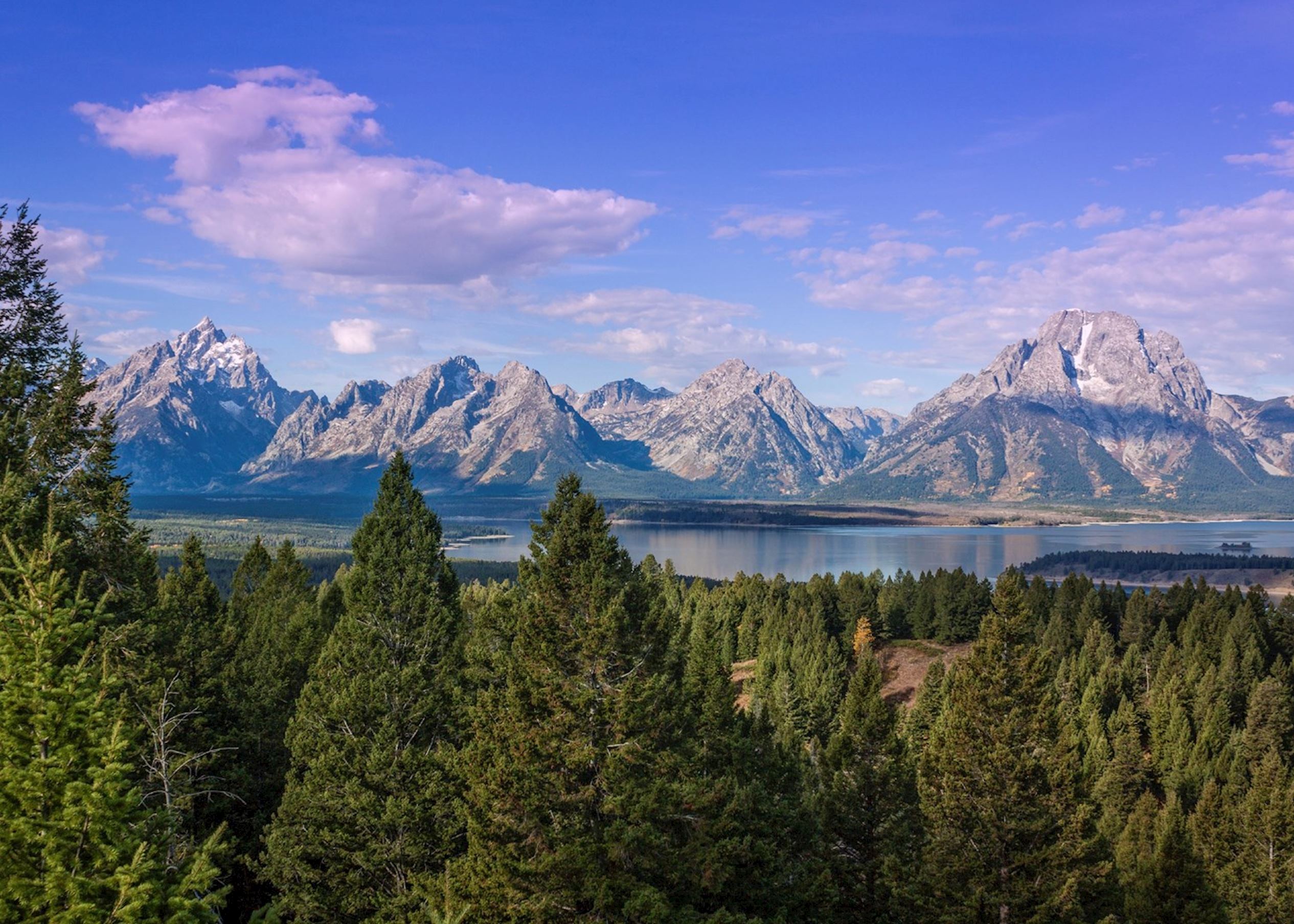 Jackson Scenic Float and Wildlife Expedition | Audley Travel US