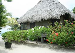 Turtle Inn Resort | Hotels in Coastal Mainland | Audley Travel