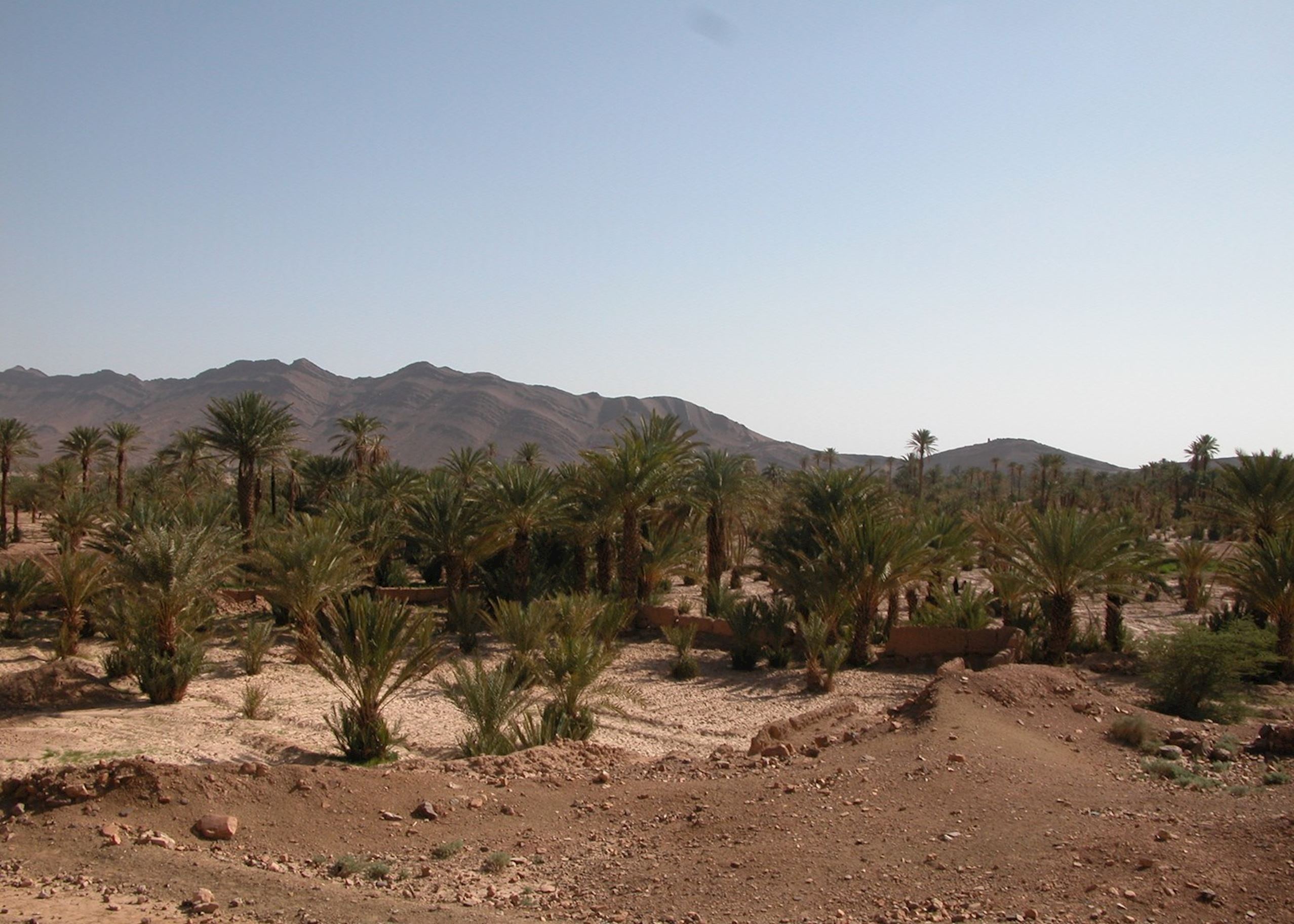 Visit the Anti Atlas, Morocco | Tailor-made Trips | Audley Travel UK