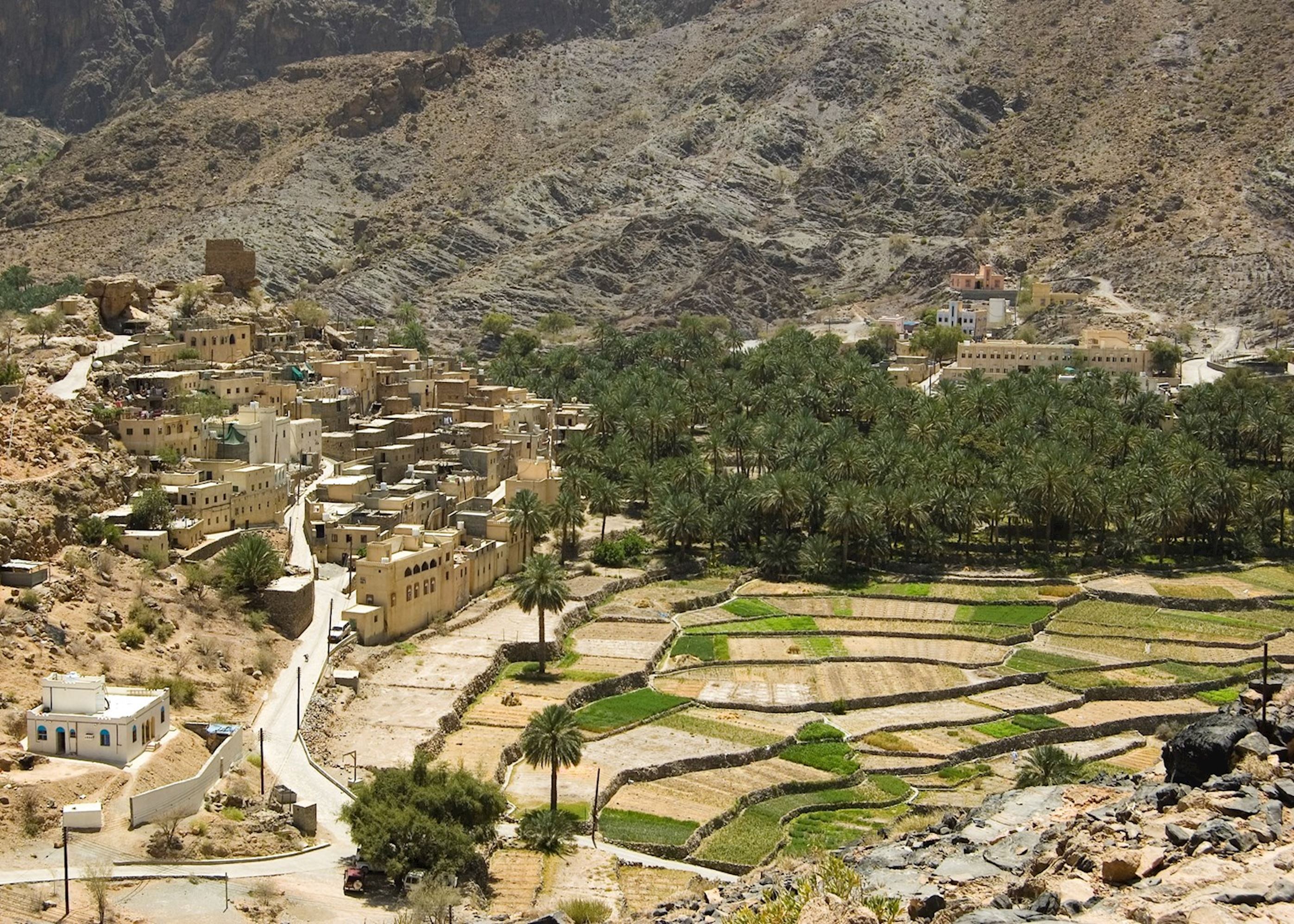 Visit Jebel Akhdar on a trip to Oman | Audley Travel UK