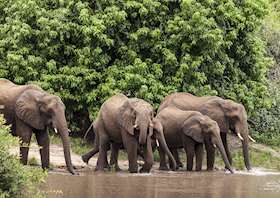 Best Time to Visit Colombia | Climate Guide | Audley Travel