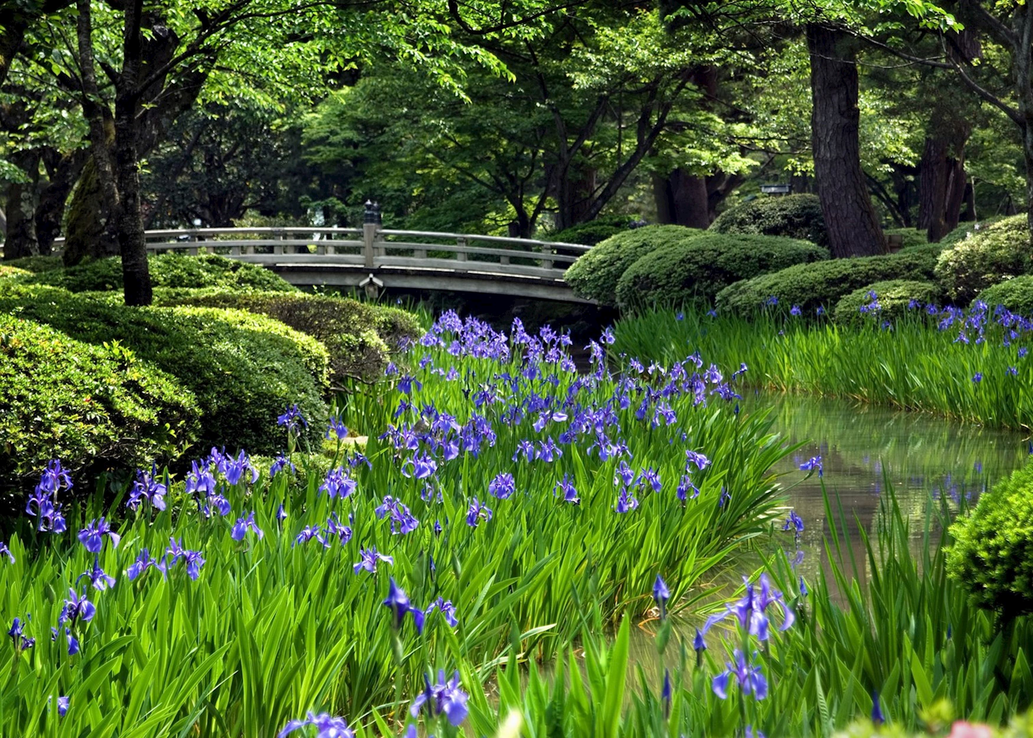 Visit Kanazawa on a trip to Japan | Audley Travel US