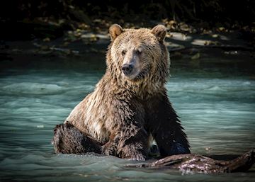British Columbia Vacations | Audley Travel US