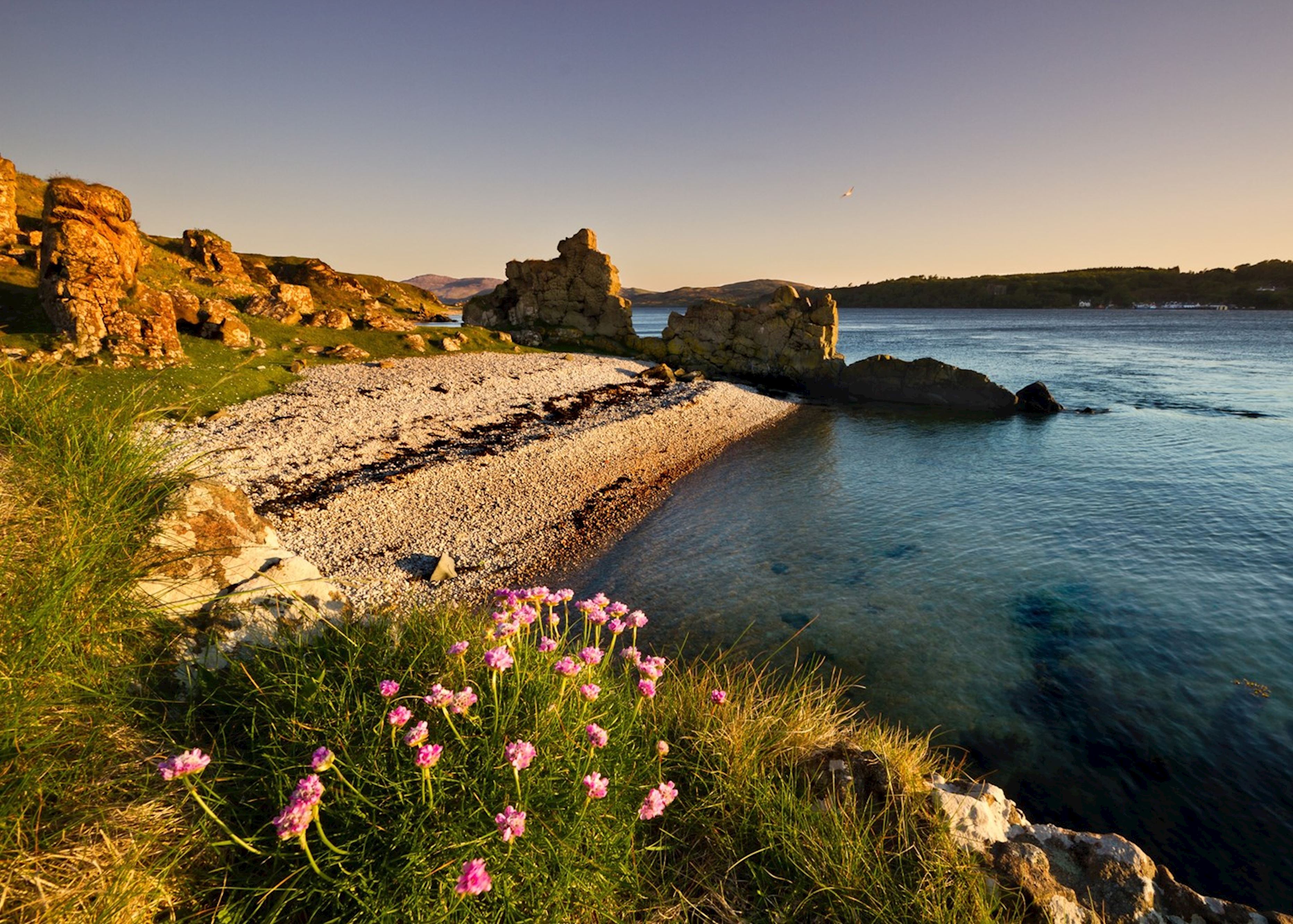 Islay wildlife cruise | Audley Travel US