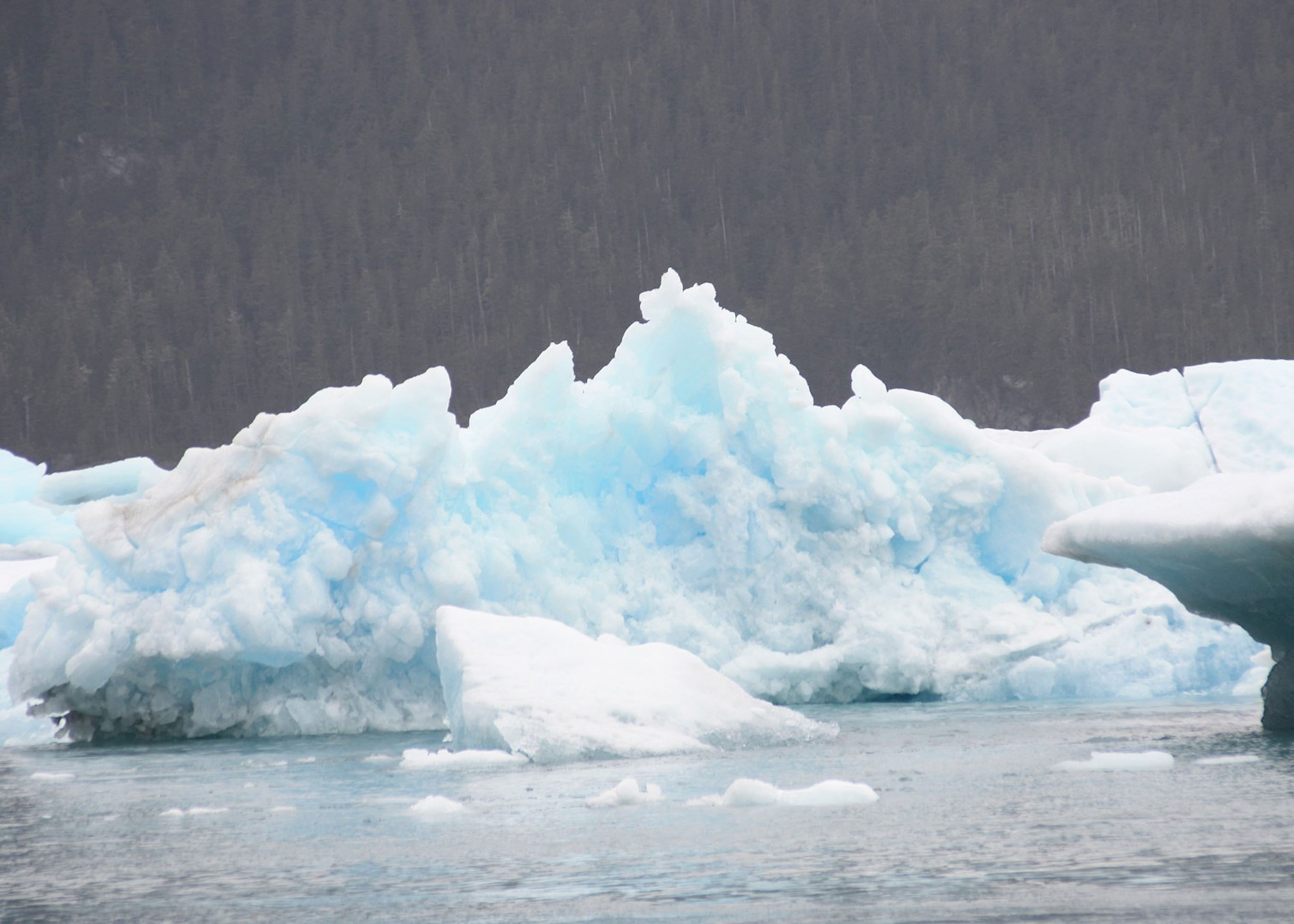 Glaciers of Prince William Sound Cruise, Alaska | Audley Travel US