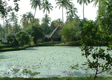 Marari Beach Resort | Hotels in Mararikulam | Audley Travel