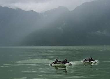 Knight Inlet Lodge Northern Vancouver Island | Audley Travel