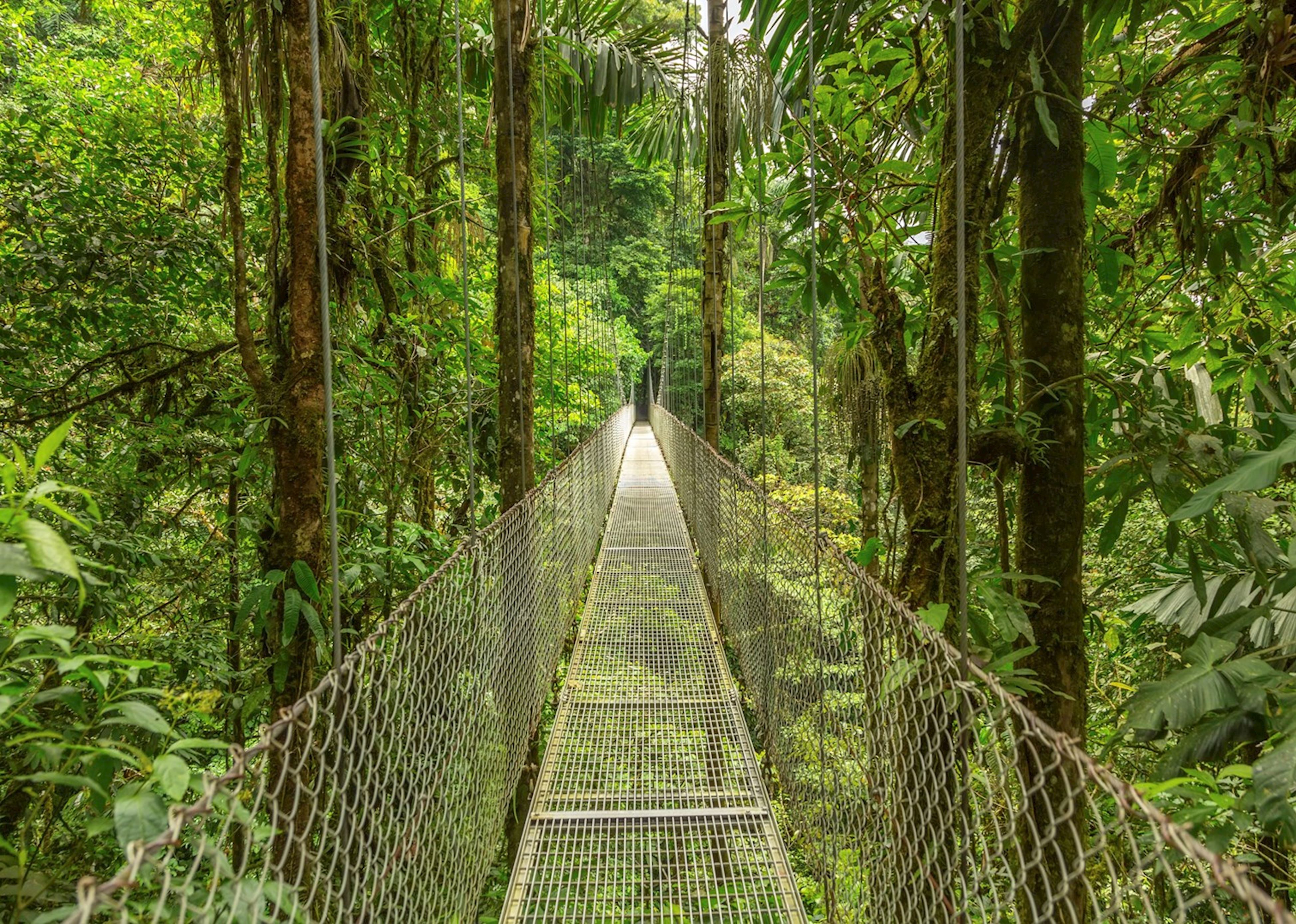 Arenal Hanging Bridges Natural History Tour | Audley Travel UK