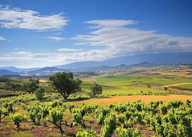 Madrid, San Sebastián & La Rioja tour | Audley Travel US