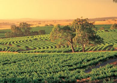 Australia & New Zealand by train and luxury cruise | Audley Travel UK