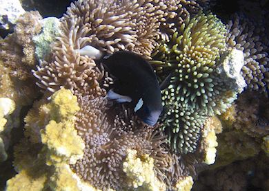 Family exploration around New South Wales | Audley Travel UK