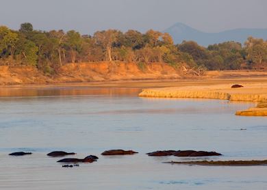 South Luangwa Safari Tour | Audley Travel UK