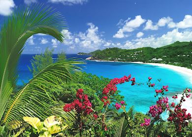 Mara & Mahé explorer | Audley Travel US