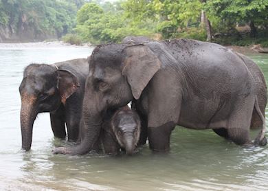 Classic Java & Sumatra Tour | Audley Travel US