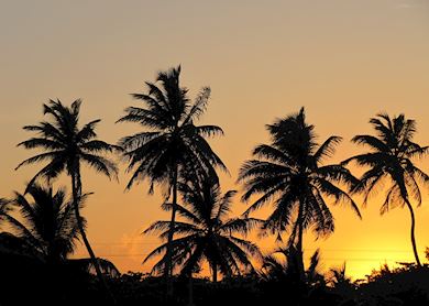 Belize in a week: jungle & beach | Audley Travel US