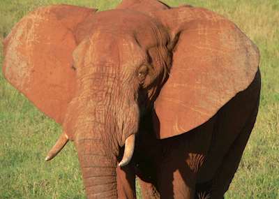 Discover South Africa | Audley Travel