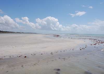 Classic Brazil Tour | Audley Travel