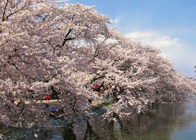 Grand Tour Of Japan | Itinerary Suggestions | Audley Travel