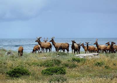 Northern California Self-Drive Tour | Audley Travel