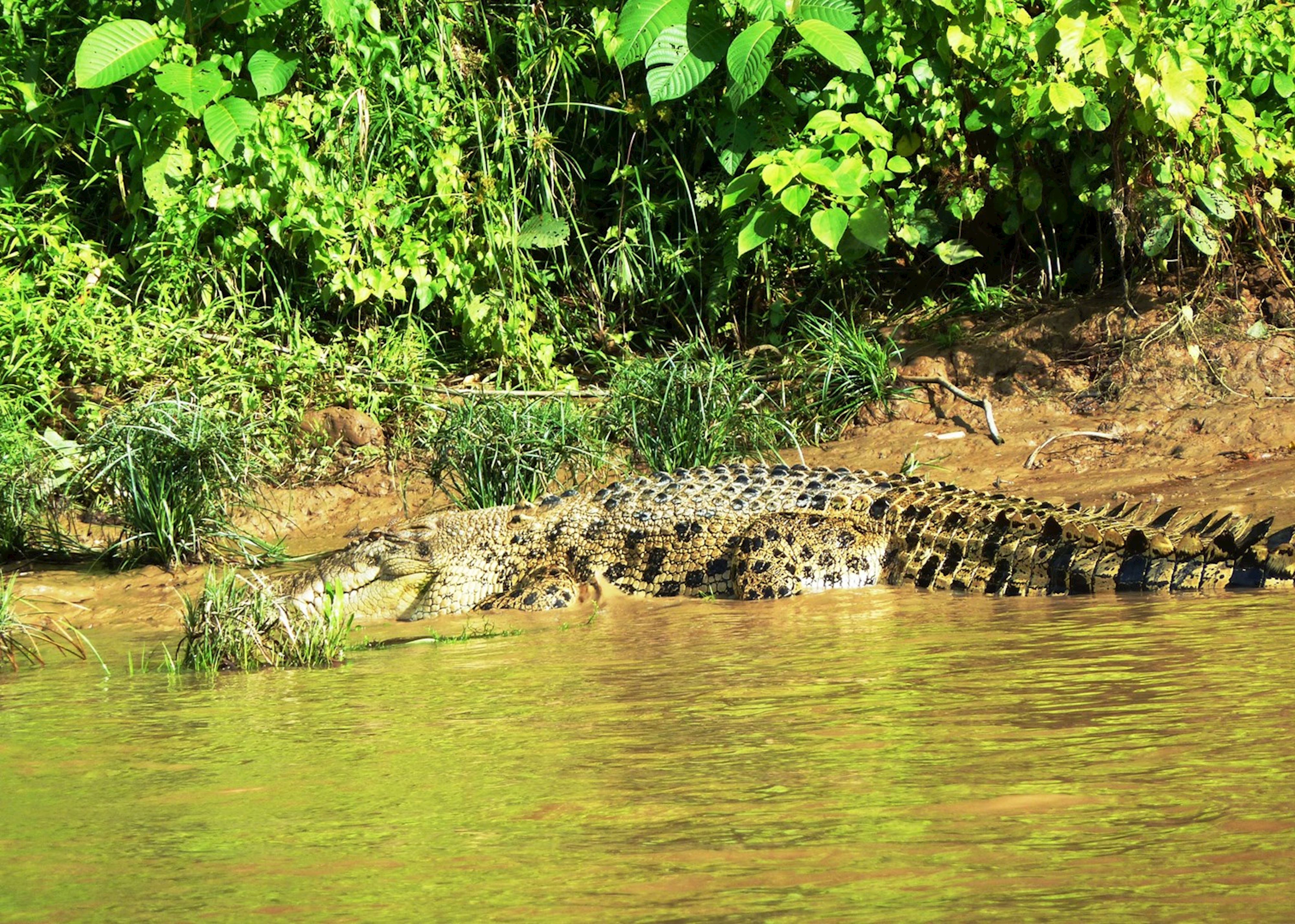 Snapshot of Sabah Tour | Audley Travel